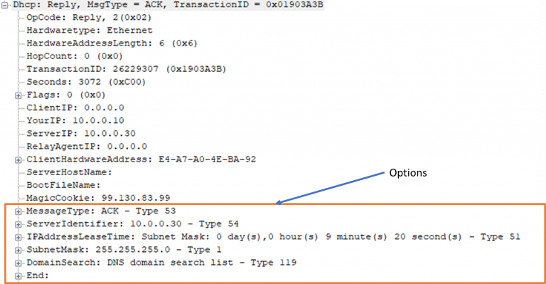 DHCP Client Remote Code Execution Vulnerability Demystified | McAfee Blog