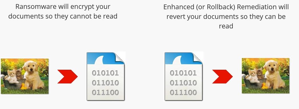 ENS 10.7 Rolls Back the Curtain on Ransomware | McAfee Blog