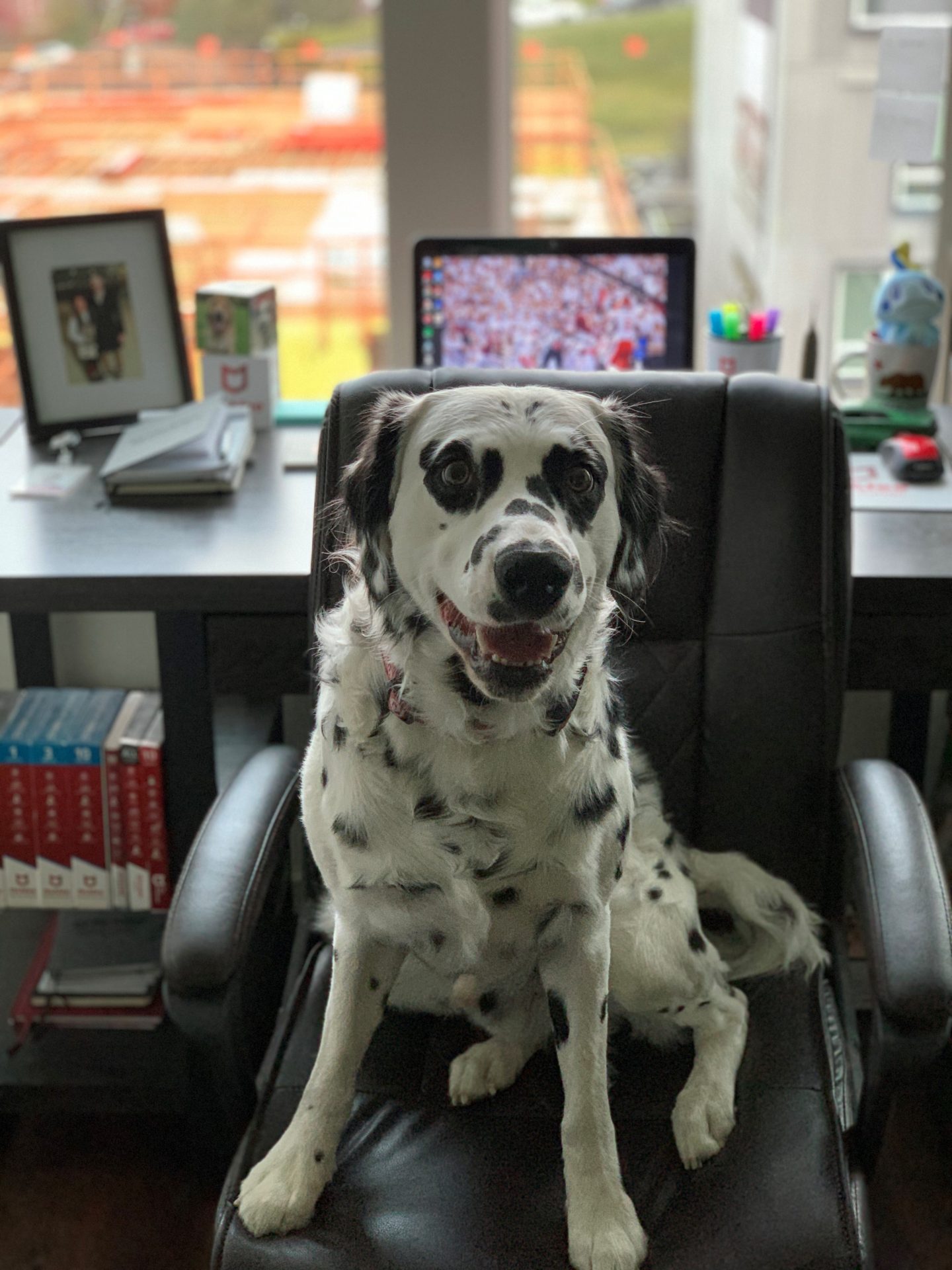 Leaning into Change with the McAfee Family | McAfee Blog